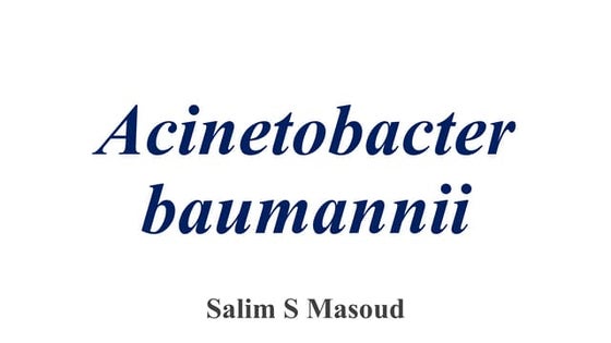 Acinetobacter baumannii | PPT