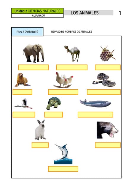 Ficha De Trabajo Sobre Vertebrados E Invertebrados Animales
