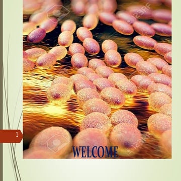Acitic acid bacteria mechanism of acitic acid fermentation | PPTX