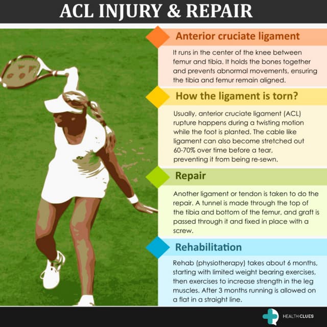 Acl injury-repair | PDF