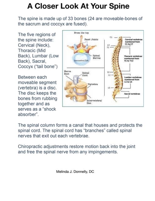 What Causes Subluxation | PDF