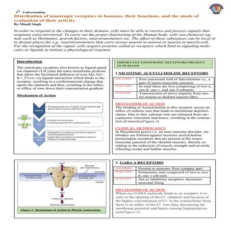 UNDERSTANDING THE ROLE OF IONOTROPIC RECEPTORS | PDF | Digestive ...