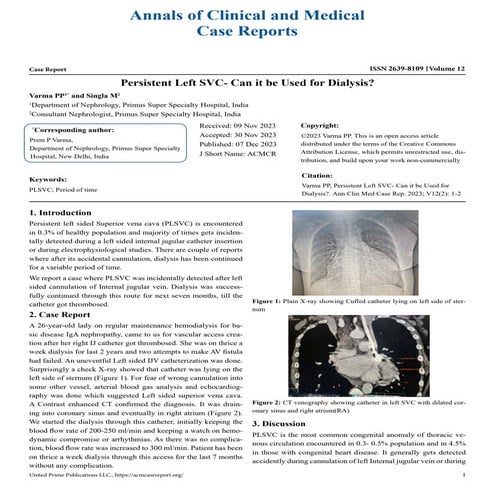 Persistent Left Svc Can It Be Used For Dialysis Pdf 6450