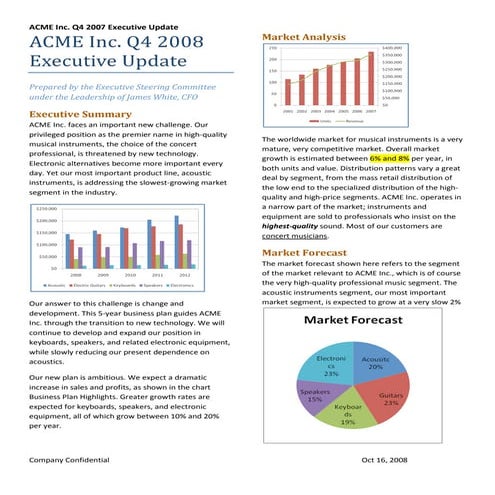 ACME Inc Q4 Executive Update | PDF