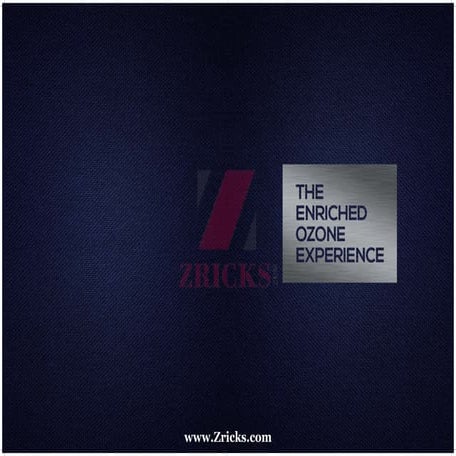 Acme Ozone Brochure - Zricks.com