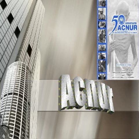 Acnur 2 | PDF