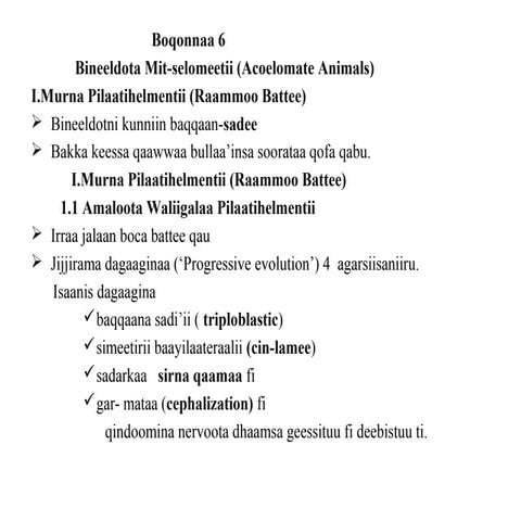 Acoelomates boq. 6 | PPT