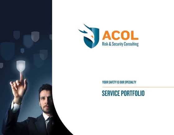 Professional Security Assessment .ppt