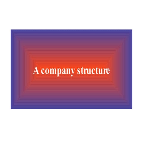 A company structure | PPT