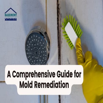 Mold Remediation Makes Your Home Healthier | PPT