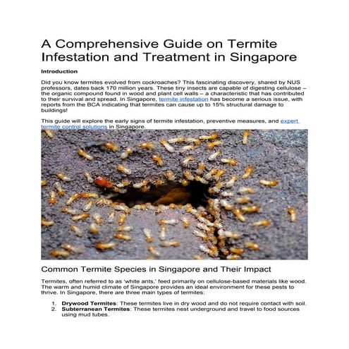 A Comprehensive Guide on Termite Infestation and Treatment in Singapore.docx