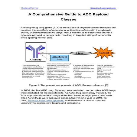 A Comprehensive Guide to ADC Payload Classes.pdf