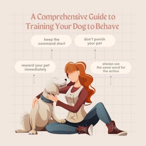 Dog Training Everything You Need to Know | PPTX
