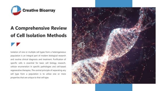 In situ hybridization | PPTX | Genetics | Science