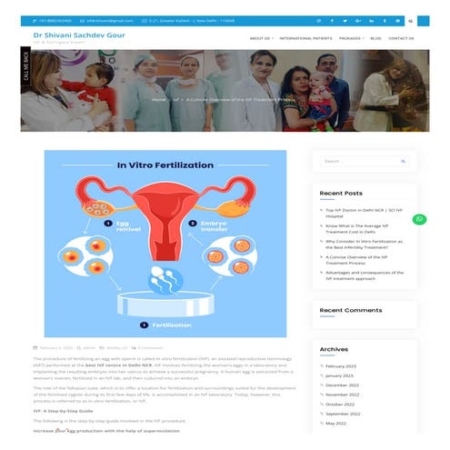 A Concise Overview of the IVF Treatment Process | PDF