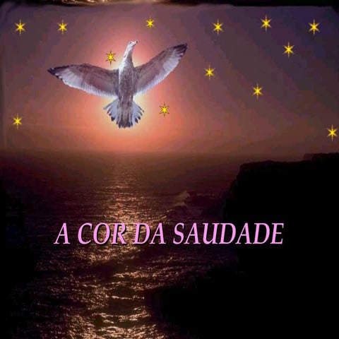 A cor da saudade | PPS