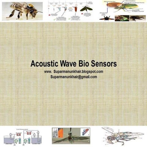 Acoustic wave biosensor | PPT