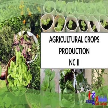 Agricultural cropg production nc ii.pptx