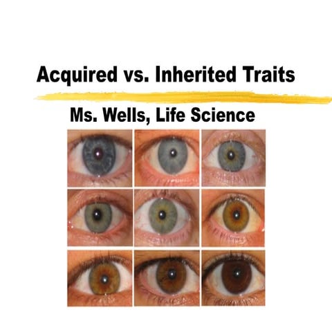 Acquired and Inherited Traits | PPT | Genetics | Science