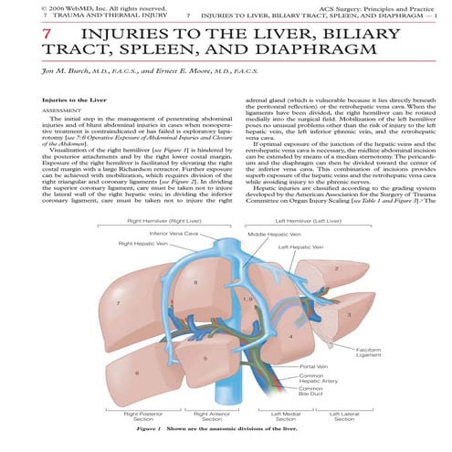 Blunt abdominal trauma | PPT