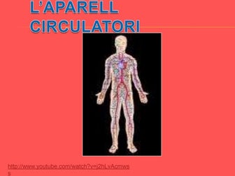 Tasca el funcionament del cor | PDF