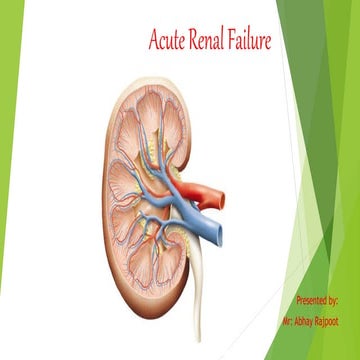 The Pathophysiology Of Acute Renal Failure
