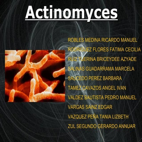 Actinomyces | PPT
