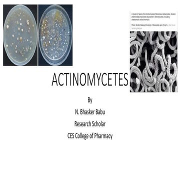 Actinomycetes.pptx