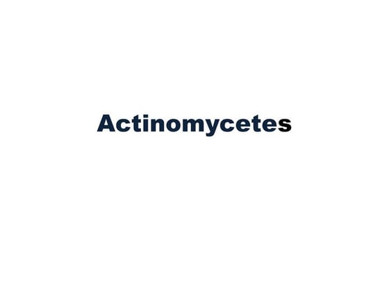 Actinomycetes | PPTX | Infectious Diseases | Diseases and Conditions