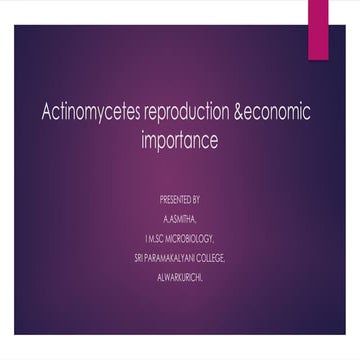 actinomycetes Reproduction & Economic Importance.pptx