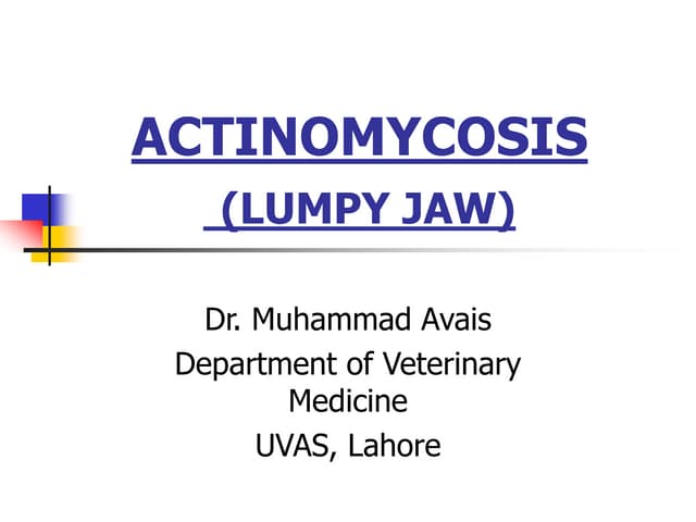 Actinomycosis And Its Treatment In Pakistan Ppt