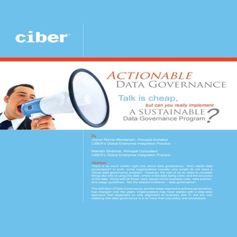 Ibm data governance framework | PDF