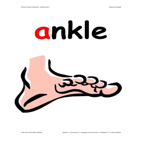 Action alphabet1 (3) | PDF