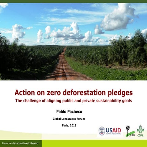 Action on zero deforestation pledges the challenge of aligning public ...