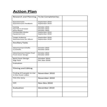 Action plan | PDF
