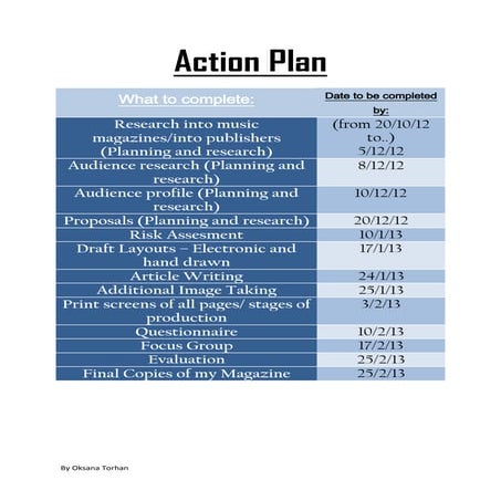 ACTION PLAN | PDF