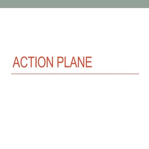 ACTION PLANE.pptx