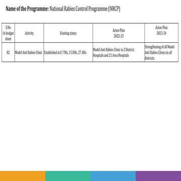 Action plan for PIP.pptx