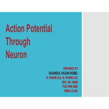 Action Potential | PPTX