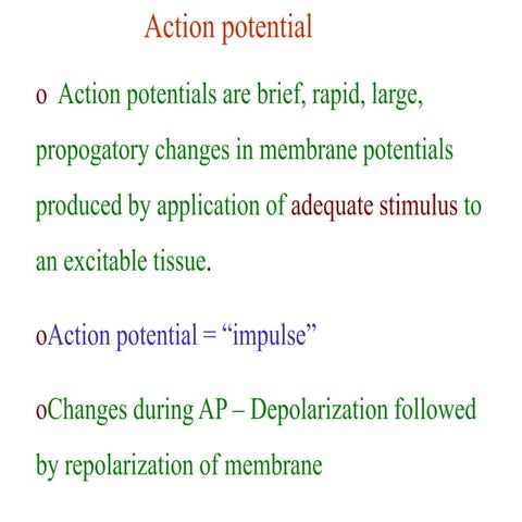 action_potential.ppt