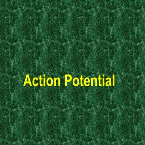 Action Potential.ppt