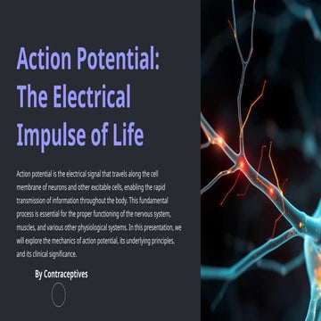 Action Potential aaaaaaaaaaaaaaaaaaaaaaaaaaaaaaaaa | PPTX