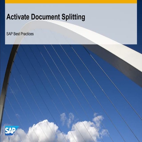Document splitting in New GL in SAP | PDF