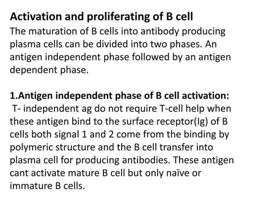 Activation of 8 T and B cell activation.pptx