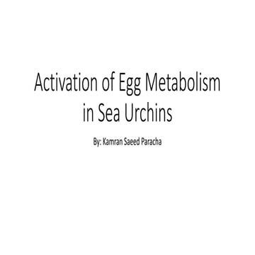 Activation of egg metabolism | PPTX