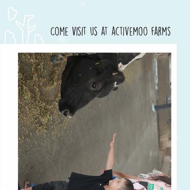 Active Moo Farmms | PDF | Nutrition | Healthy Living