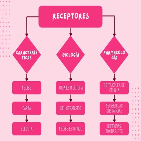 RECEPTORES, TIPOS Y FUNCIONES | PDF