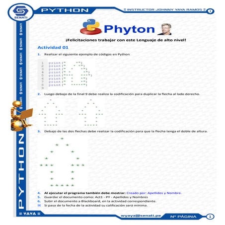 Actividad 01 python | PDF