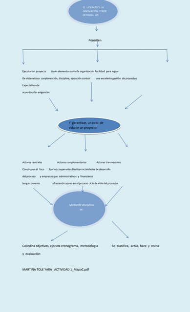 Mapa conceptual ingrid | PDF