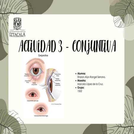 LA CONJUNTIVA | PDF